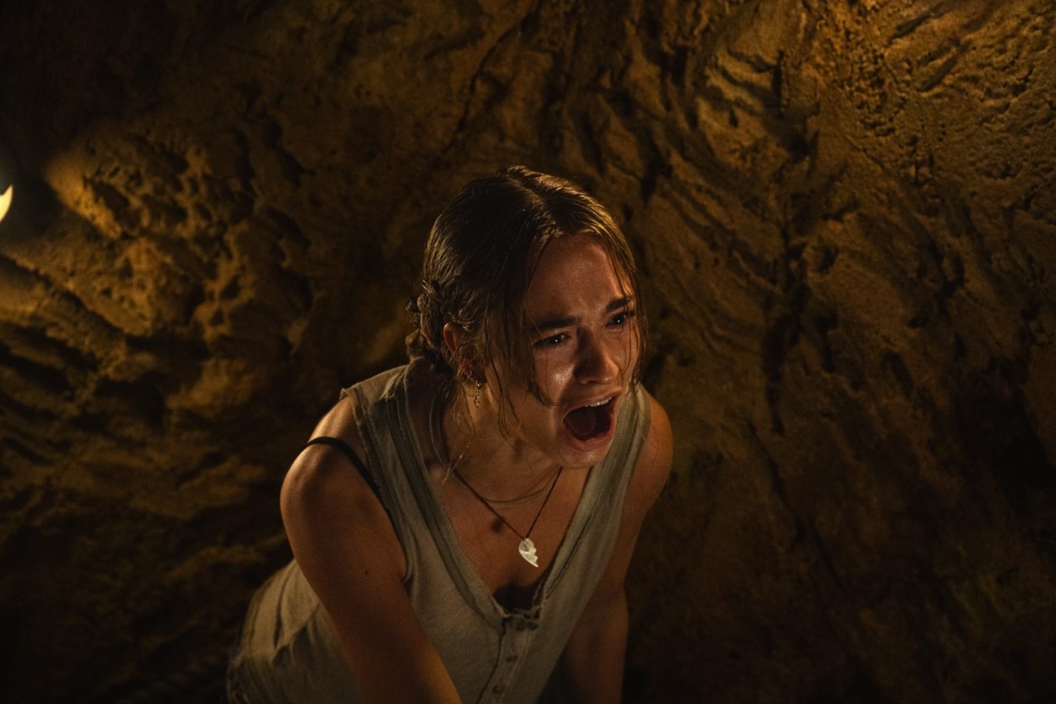 'Primate' Film Review: Teen Vacation Turns to Terror When Confronted by ...
